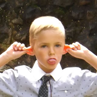 Dyadic Development Psychotherapy (DDP) - Family Affect